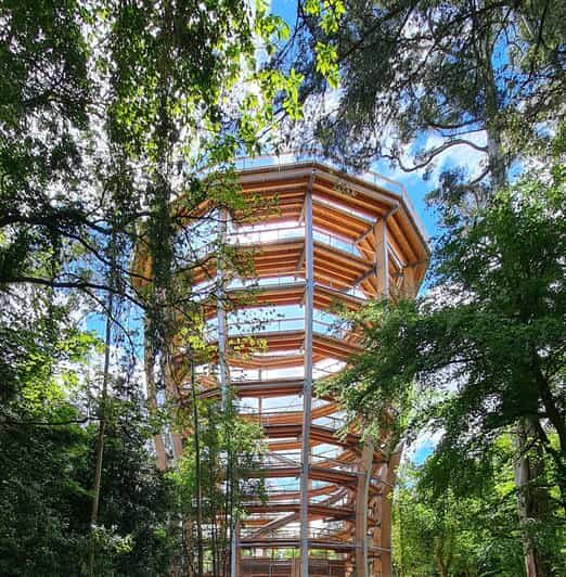 Avondale: Beyond the Trees Treetop Walk & Tower Entry Ticket - Introduction: Trying Out Ireland’s Canopy
