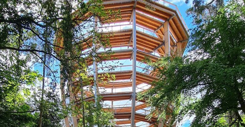 Avondale: Beyond the Trees Treetop Walk & Tower Entry Ticket - What Makes This Experience Valuable?