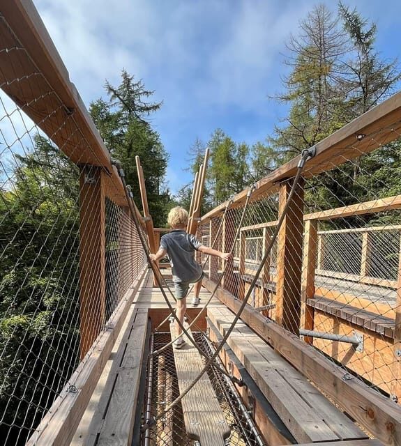 Avondale: Beyond the Trees Treetop Walk & Tower Entry Ticket - The Sum Up: Is It Worth It?