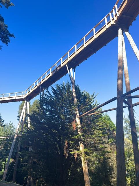 Avondale: Beyond the Trees Treetop Walk & Tower Entry Ticket - FAQ