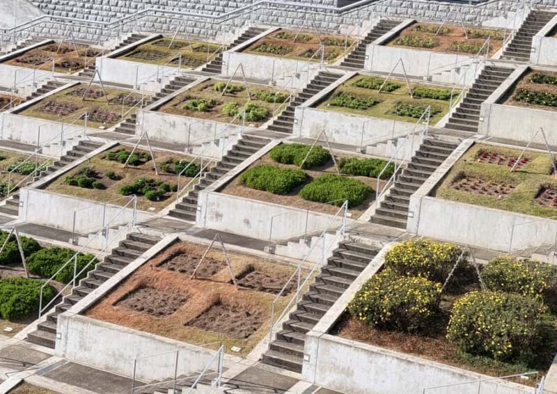 Awaji Island: Awaji Coast Whirlpool Day Trip from Osaka - Key Points