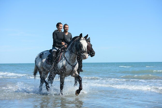 Awaken to Paros: A Scenic Morning Horseback Ride - Why This Ride Is a Solid Choice