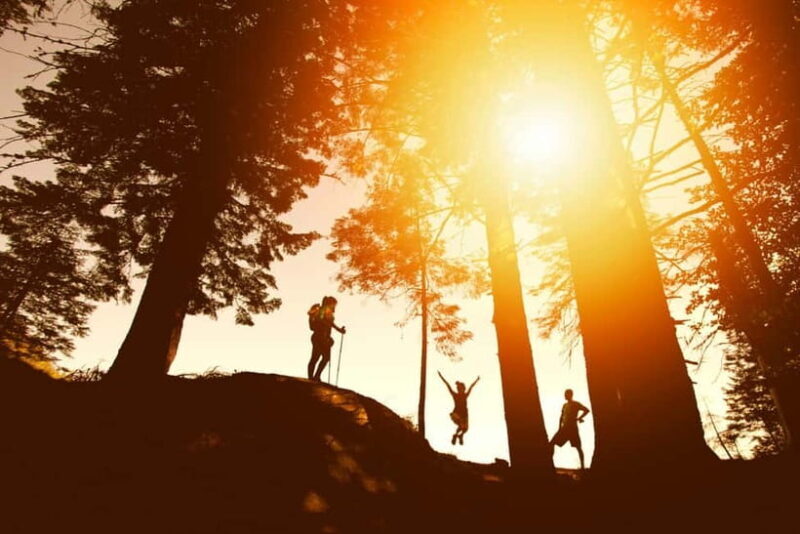 Awakening with the Himalayas: Kunjapuri Sunrise Hike - Who Will Love This Tour?