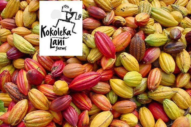 Award Winning Farm Tour: Coffee, Chocolate and Unique Gifts - Practical Details and Tips