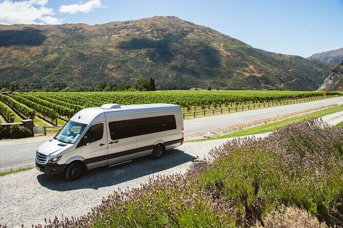 Award Winning Premium Wine Tour Queenstown Tasting at 4 Wineries - The Sum Up