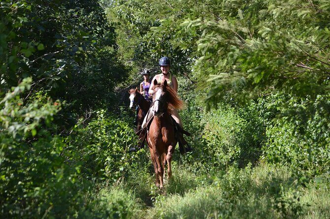 Award-winning Private Classic Horseback Ride - A Closer Look at the Horseback Ride Experience