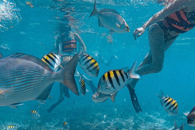 Awesome Catamaran to Isla Mujeres, Snorkeling & Unlimited Drinks! - Final Thoughts