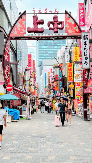 Awesome Private Tour: Tsukiji, Asakusa, Shinjuku, Shibuya - A Deep Dive into What This Tour Offers