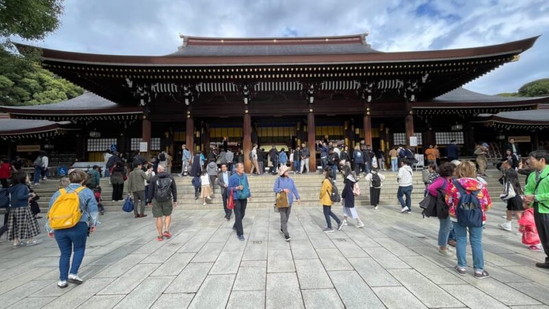 Awesome Private Tour: Tsukiji, Asakusa, Shinjuku, Shibuya - Final Thoughts