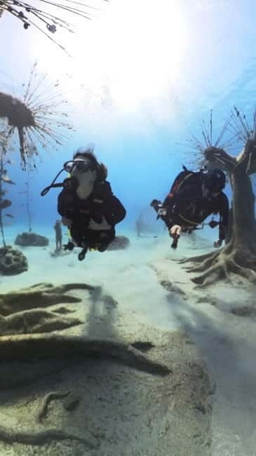Ayia Napa: Musan Underwater Museum Scuba Dive with Transfer - Key Points