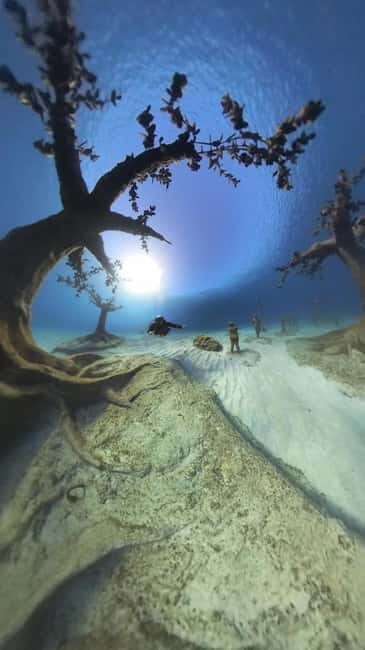 Ayia Napa: Musan Underwater Museum Scuba Dive with Transfer - The Itinerary: Step-by-Step