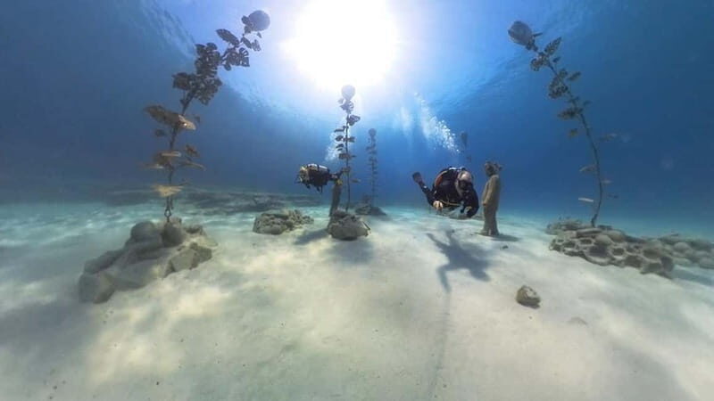 Ayia Napa: Musan Underwater Museum Scuba Dive with Transfer - The Value for Money