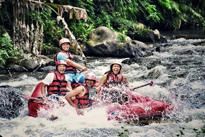 Ayung Rafting Ubud (Buffet Lunch & Return Hotel Transport) - Pricing and Value