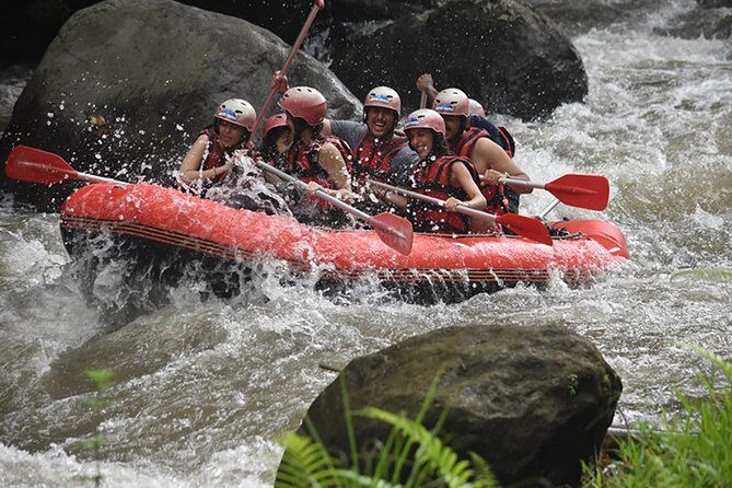 Ayung Rafting Ubud (Include Lunch & Return Transportation) - Key Points