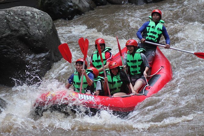 Ayung Rafting Without pick-up - What the Tour Offers