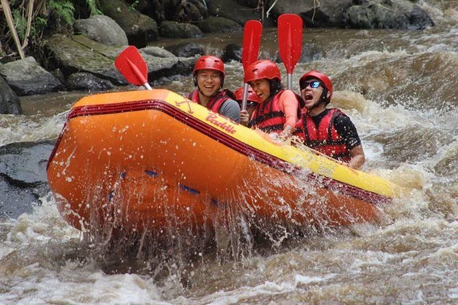 Ayung River Half-Day White Water Rafting Bali in Ubud - The Itinerary Breakdown: What to Expect