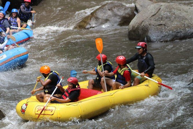 Ayung River Rafting Ticket And Transfer - Who Should Consider This Tour?