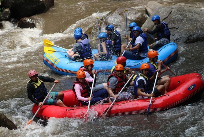 Ayung River Rafting Ticket And Transfer - The Sum Up
