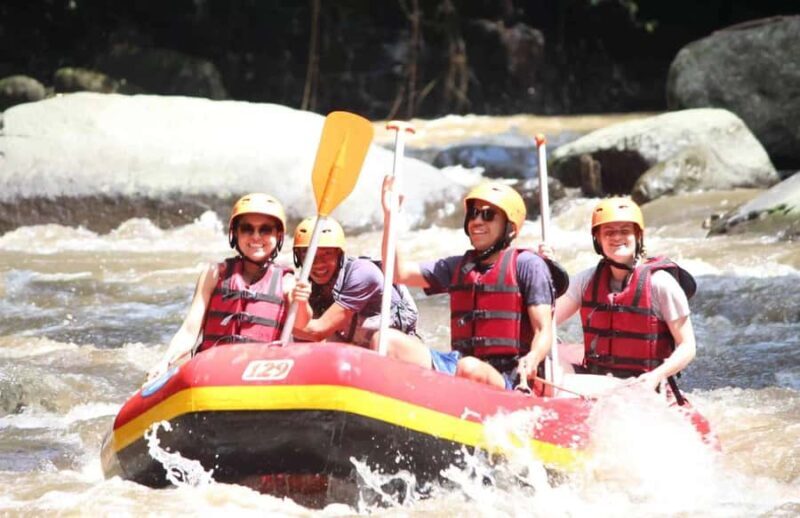 Ayung River Thrills: Ultimate White-Water Rafting Journey - Key Points
