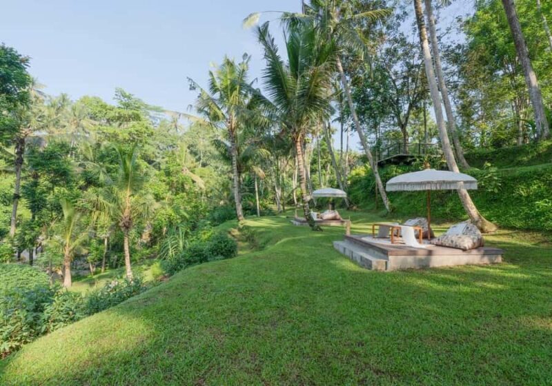 Ayung Riverside Picnic Lunch - Setting the Scene: Nature Meets Comfort