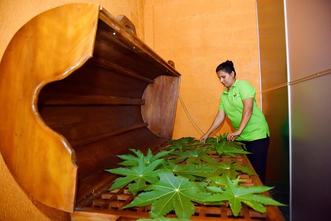 Ayurveda Day Package - Ayurvedic Day Package: A Practical Look at Wellness in Bentota