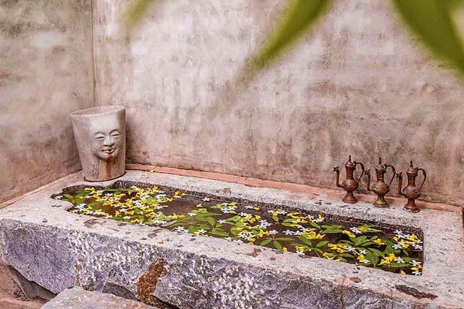 Ayurvedha Wellness and Anti-Stress Tour (14 Days) - A Detailed Look at the Tour Experience