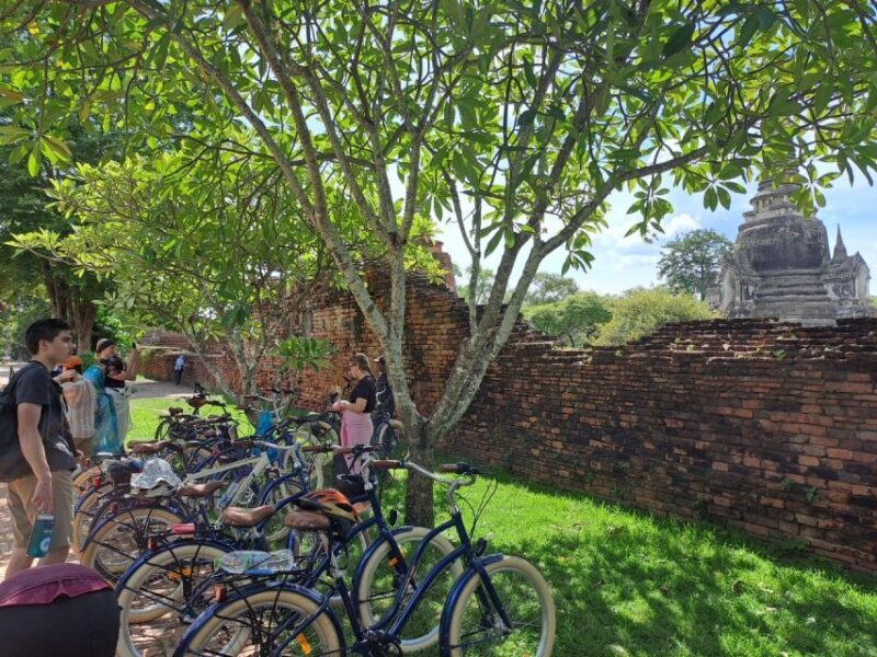 Ayutthaya City and Historical Park Bike Tour - Who Should Consider This Tour