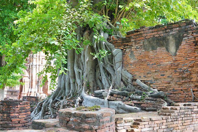 Ayutthaya Evening Tour with Dinner - Final Thoughts: Is It Worth It?