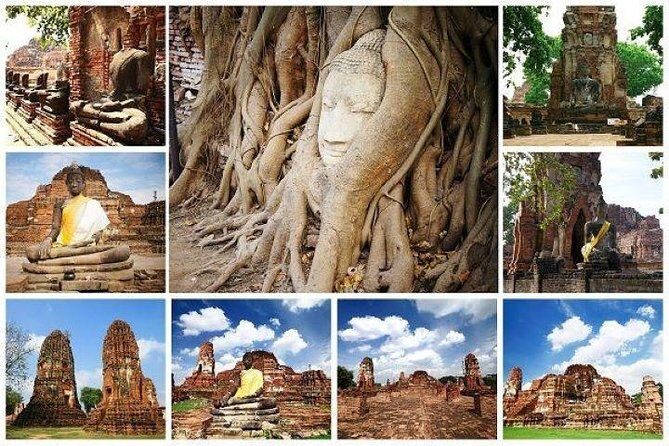 Ayutthaya Join in Day Tour - Starting with the Wildlife: Sriayuthaya Lion Park