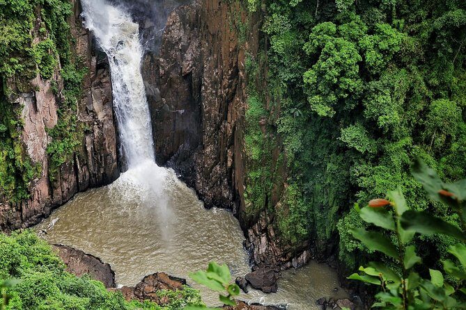 Ayutthaya & Khao Yai National Park Adventure from Bangkok - Transport, Timing, and Group Size