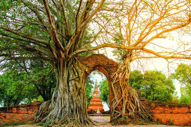 Ayutthaya Sunset Boat & UNESCO Temples: Multi-language private tour from Bangkok - Frequently Asked Questions