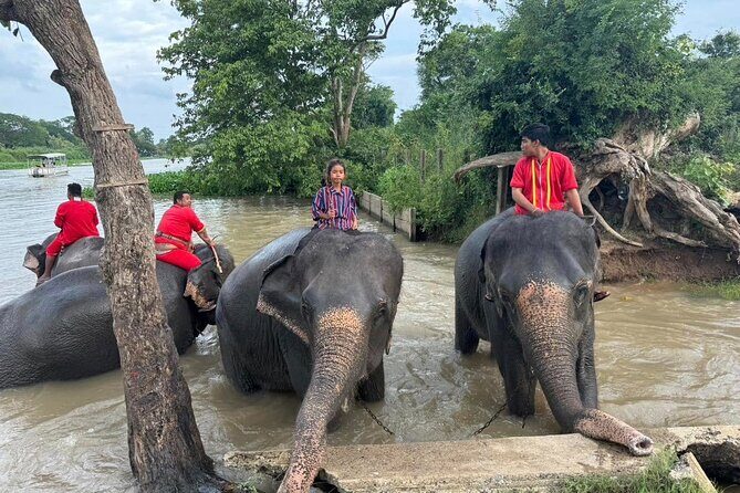 Ayutthaya Temples One Day Tour from Bangkok with Sunset Boat - Is This Tour Worth It?