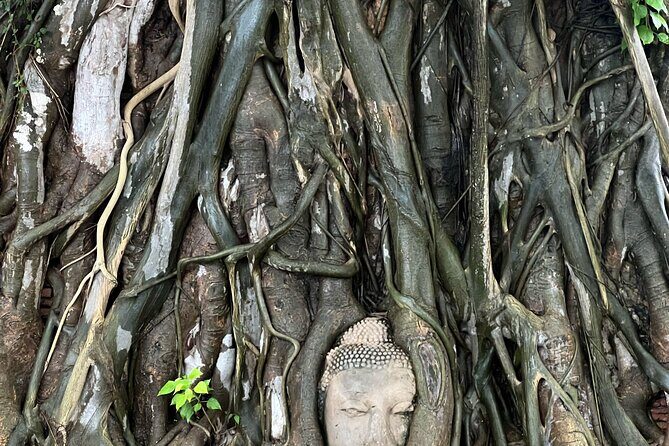 Ayutthayas Hidden Gems: Small Group Tour with Car & Local Guide - A Day in Ayutthaya: What to Expect