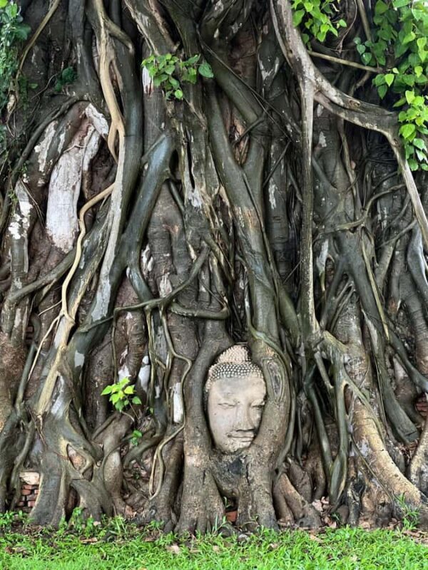 Ayutthayas Hidden Gems with Car & Local Guide (Small Group) - Who Should Consider This Tour?