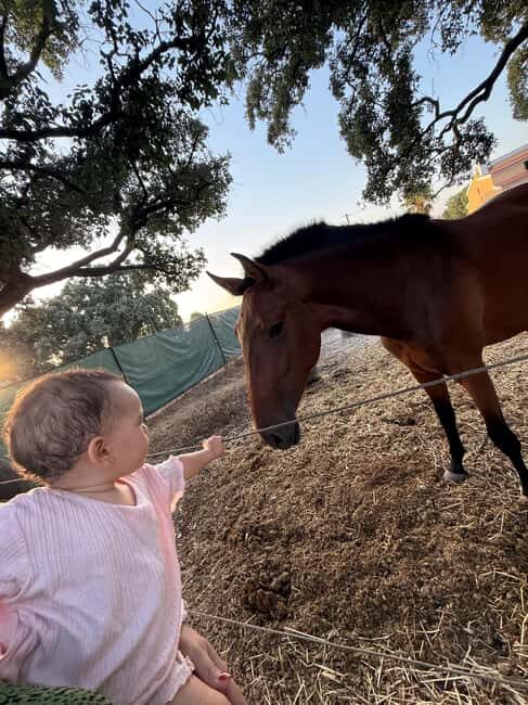 Azeitão: Horseback Riding, Tasting, Farms, and Cristo Rei - What You’ll Love About This Experience