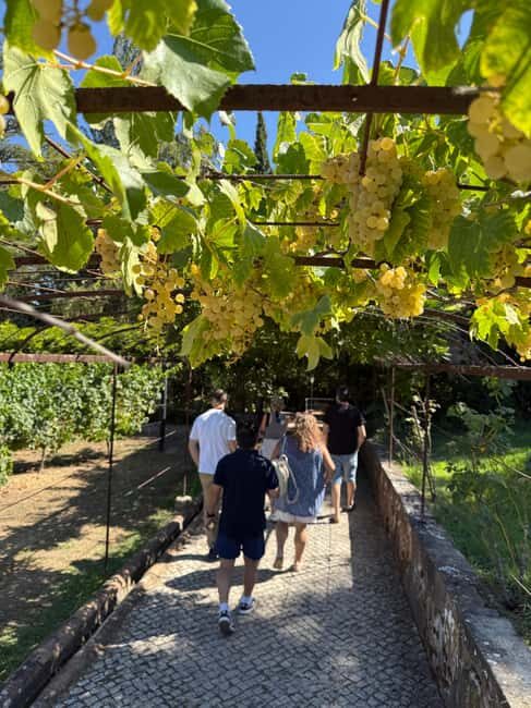 Azeitão: Horseback Riding, Tasting, Farms, and Cristo Rei - Who Will Love This Tour?