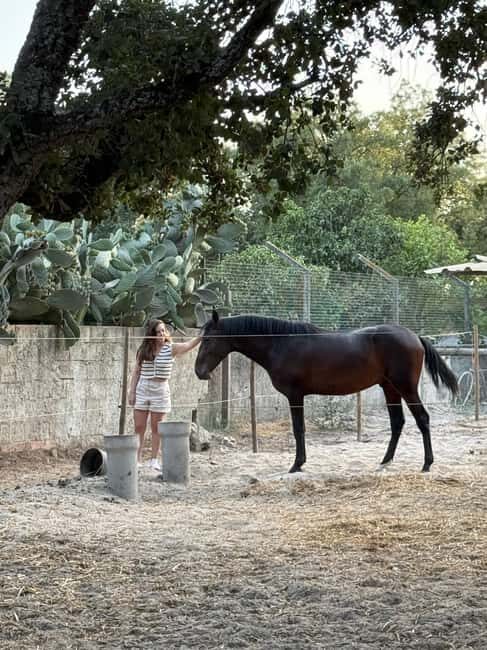 Azeitão: Horseback Riding, Tasting, Farms, and Cristo Rei - FAQ