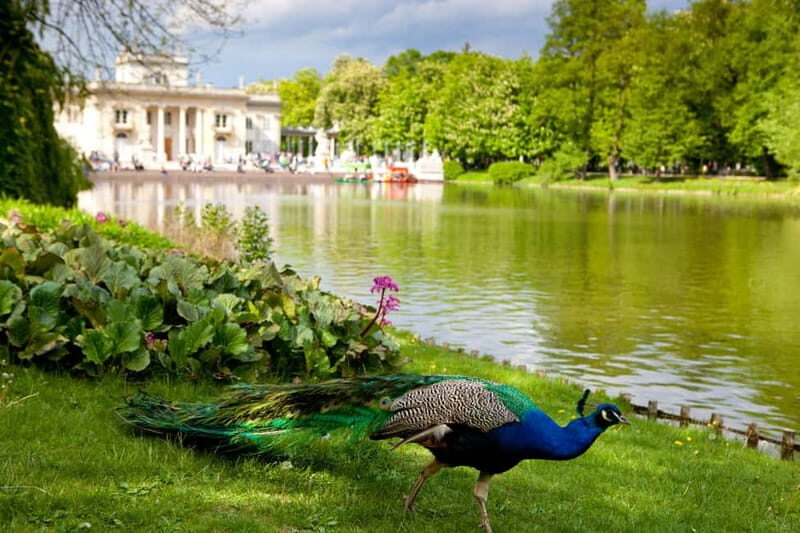 azienki Park and Palace Warsaw Private Tour with Tickets - The Practical Aspects of the Tour