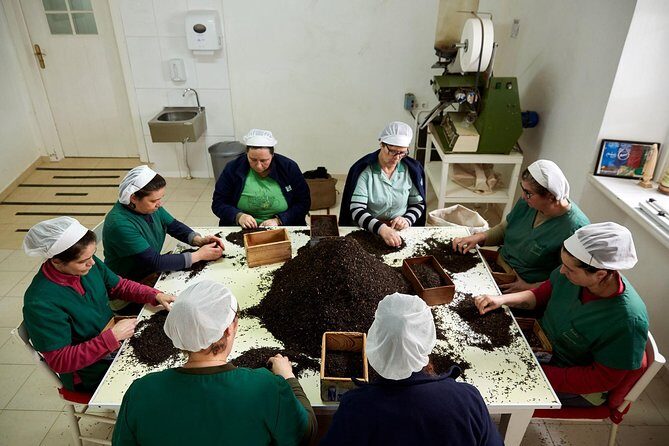 Azores: 1 Day Private Tour Furnas Volcanic Activity & Hot Springs - The Value of the Tour