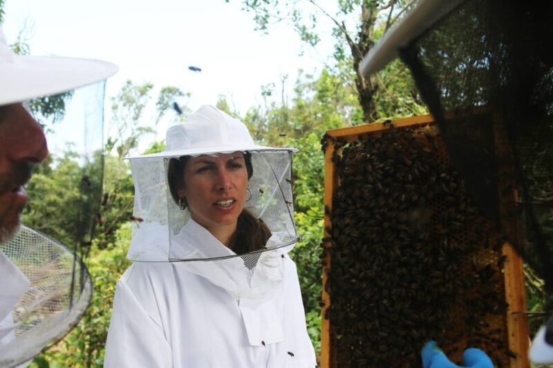 Azores Beekeeping Tour and Honey Taste - An Engaging Introduction to Beekeeping in the Azores