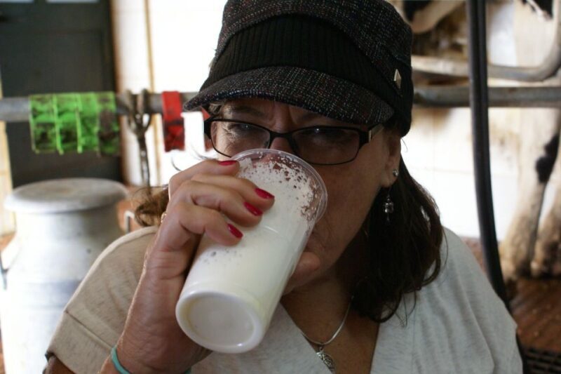 Azores: Day at the Farm with Outdoor Traditional Lunch - Practical Tips for Participants
