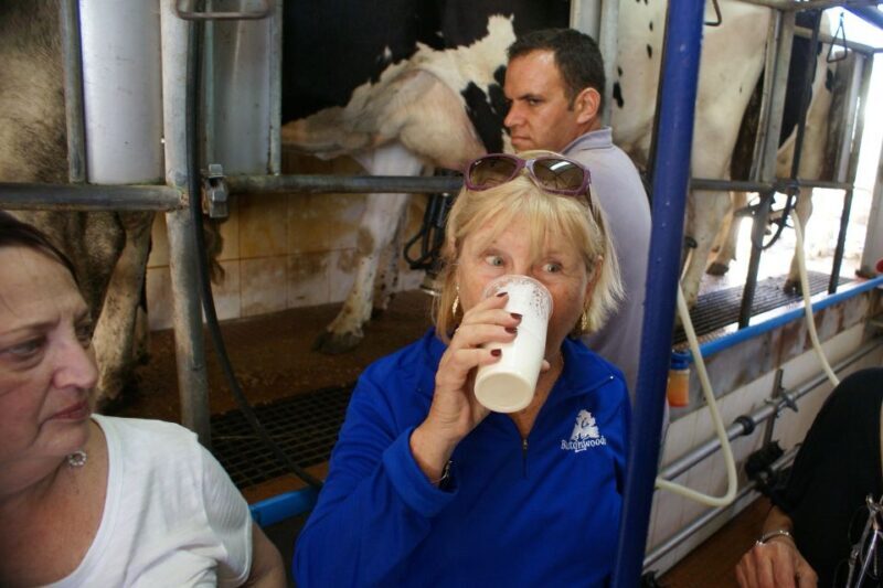Azores: Day at the Farm with Outdoor Traditional Lunch - The Sum Up
