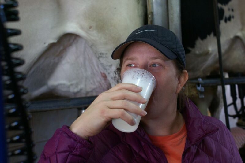 Azores: Day at the Farm with Outdoor Traditional Lunch - FAQ