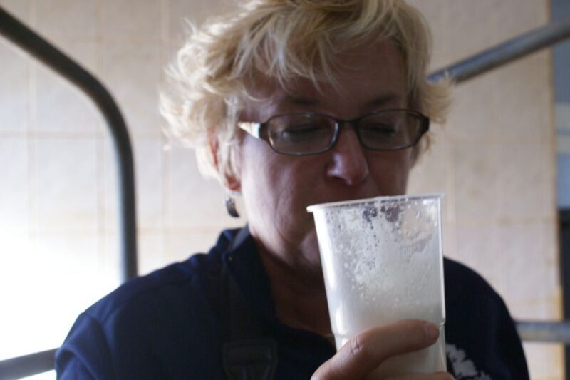 Azores: Day at the Farm with Traditional Lunch - Exploring the Itinerary: From Lookouts to Farm Life