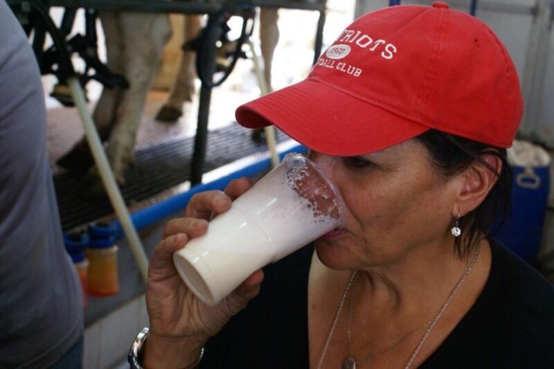 Azores: Day at the Farm with Traditional Lunch - FAQ