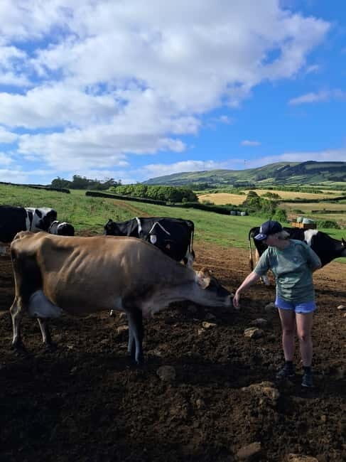 Azores: Half-Day Dairy Farm Tour - Introduction