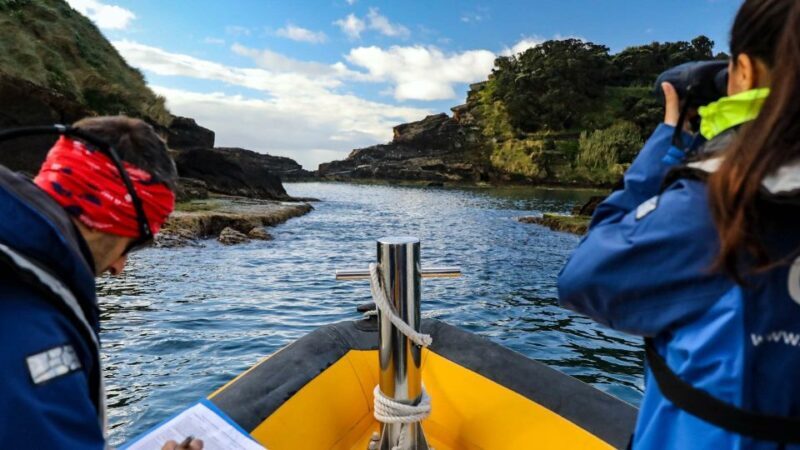 Azores Marine Birdwatching Expedition - The Itinerary Breakdown: What Makes Each Stop Special