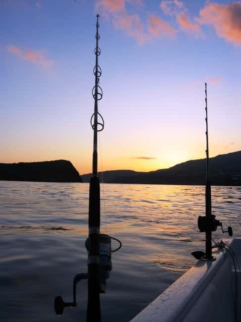 Azores: Ponta Delgada Sport Fishing Private Tour - Who Will Love This Tour?