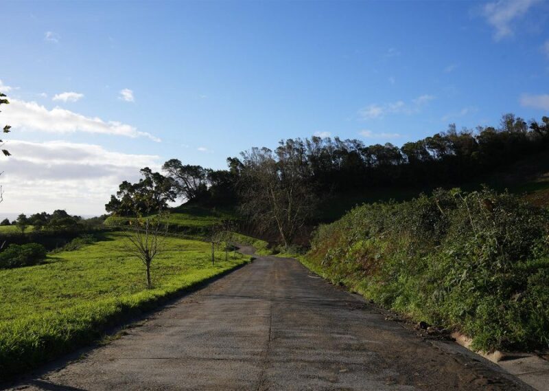 Azores: São Miguel and Lagoa do Fogo Hiking Trip - An In-Depth Look at the São Miguel and Lagoa do Fogo Experience
