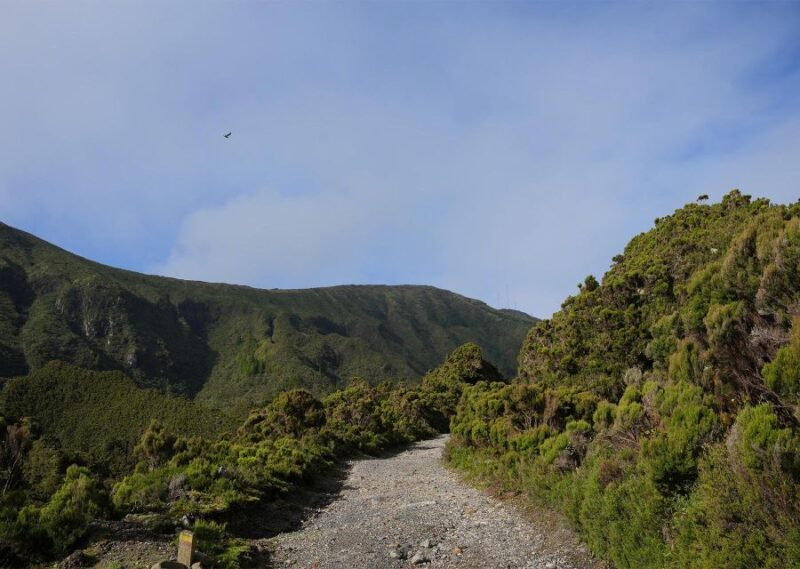Azores: São Miguel and Lagoa do Fogo Hiking Trip - Authentic Experience and Local Charm
